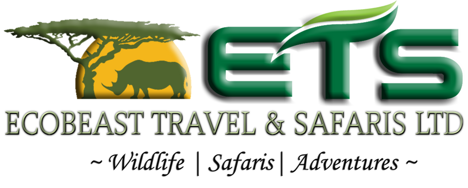 Ecobeast - Travel Agency